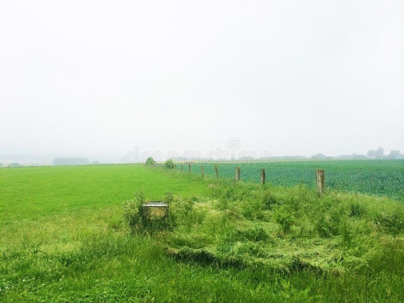 Green Grass Field in Luxembourg, Europe Stock Image - Image of season ...