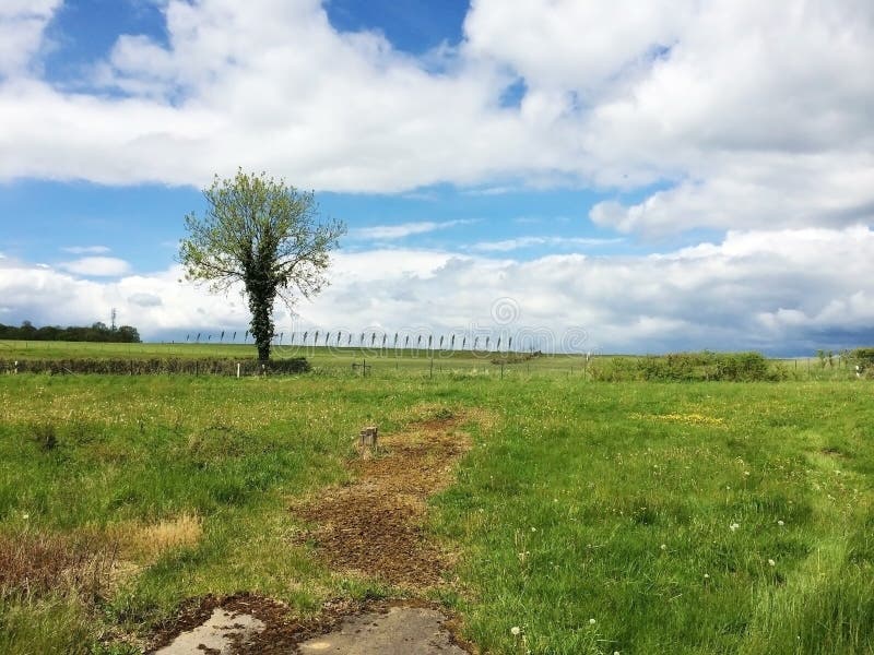 Green Grass Field in Luxembourg, Europe Stock Photo - Image of season ...