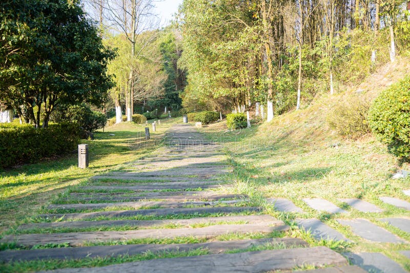 Path in the garden stock photo. Image of park, grass - 312101070