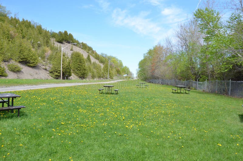 Green Grass Field with Picnic Tables and Weeds Stock Image - Image of ...