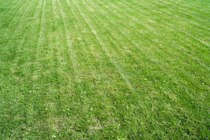 Green grass field stock image. Image of garden, mowed - 44690077