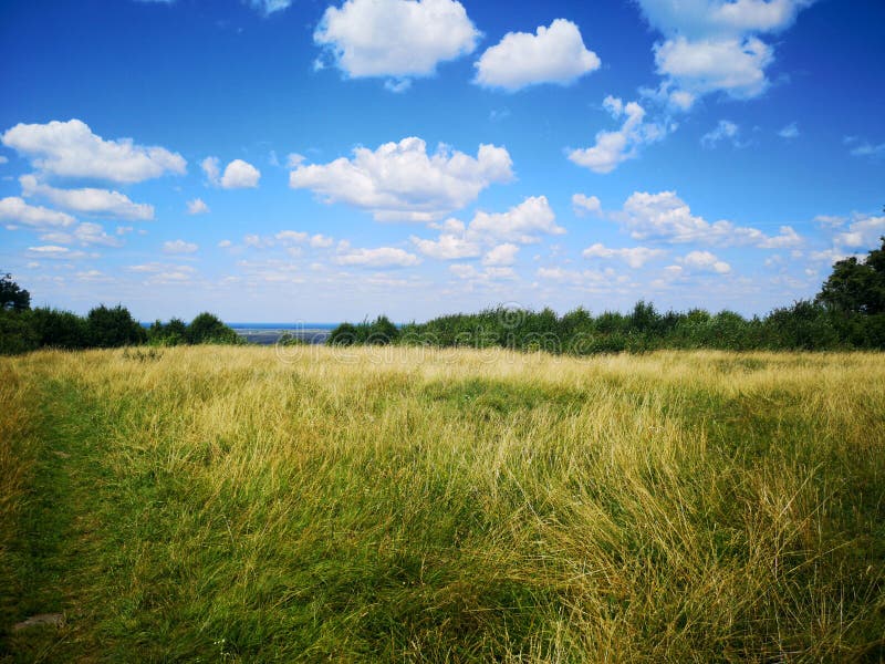 Green Grass Field on Small Hills and Blue Sky with Clouds Stock Photo ...
