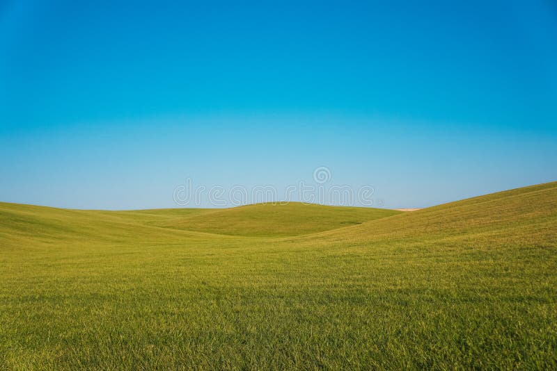 Green Fields on the Background of the Blue Sky. Green Grass Field on ...