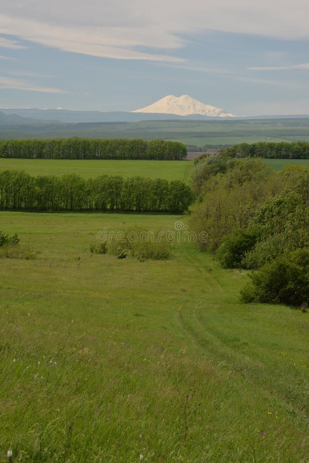 Green Grass Field in Spring Stock Photo - Image of nature, cloud: 184628486