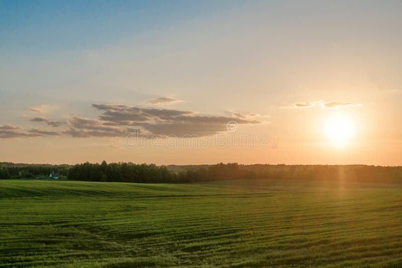 Sunset in the field stock photo. Image of beautiful - 107254392