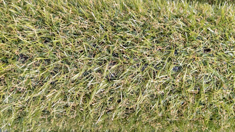 Green Grass Field Synthetic Artificial Plastic Turf Grass Texture ...