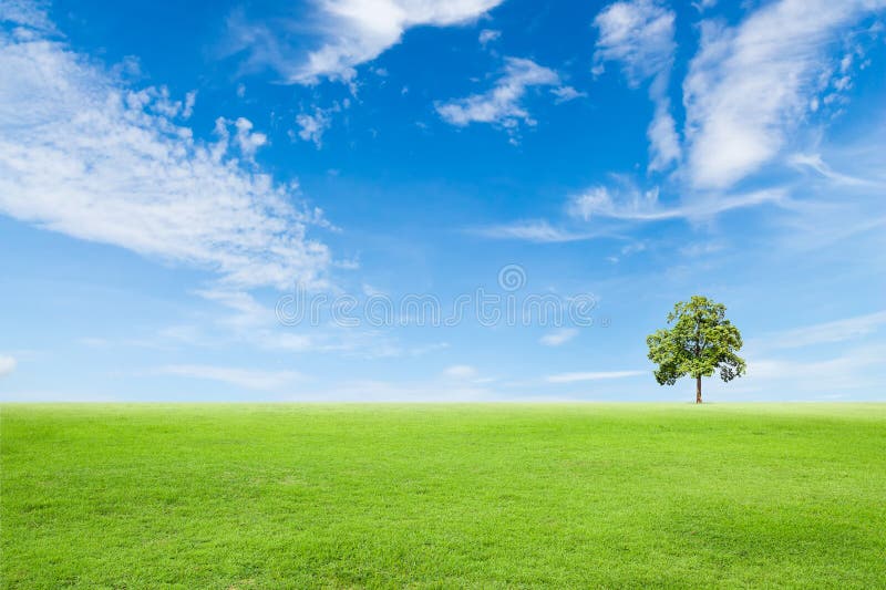 Lonely tree stock image. Image of lonely, plain, nature - 34718407