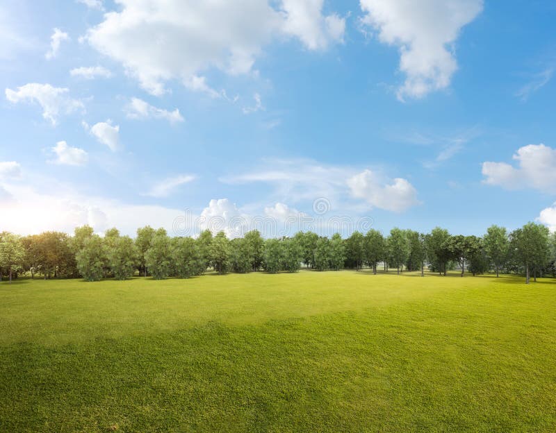 Green Grass Field with Tree Forest and Cloudy Blue Sky Stock ...