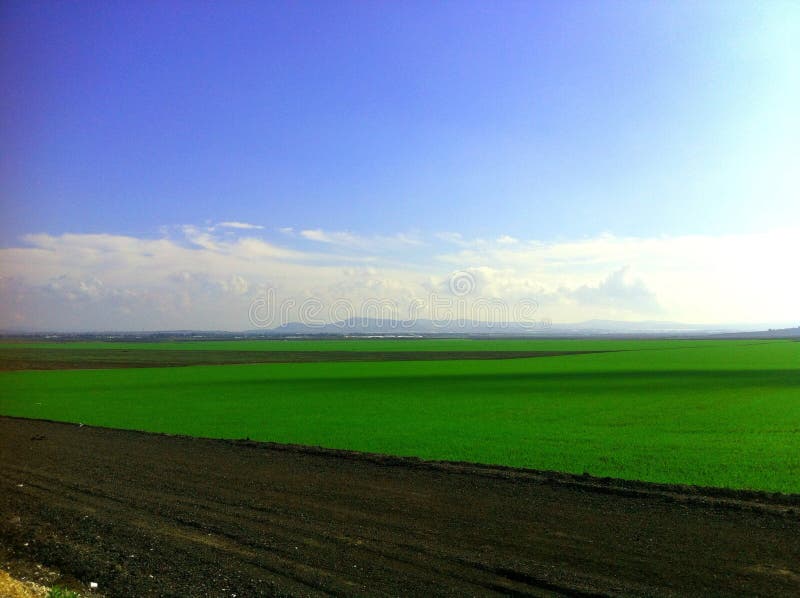 Green Grass Field stock image. Image of dirt, beauty - 30533911