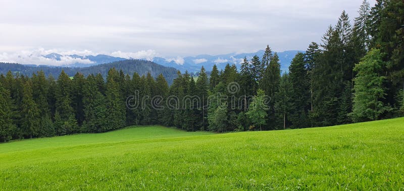 Green Grass Field and Woods with Overcast Low Hanging Clouds with Hills ...
