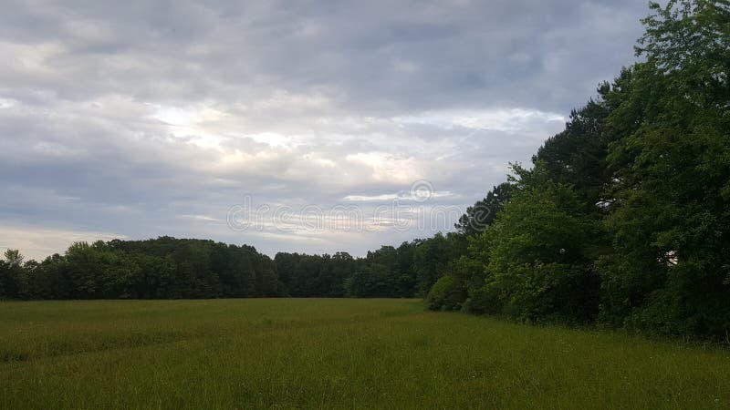 Country Life stock photo. Image of farm, plain, fields - 103112708