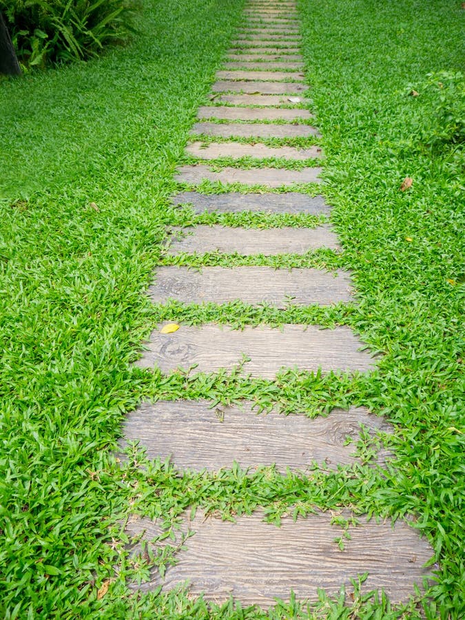 Green grass floor stock photo. Image of environment, meadow - 72502440