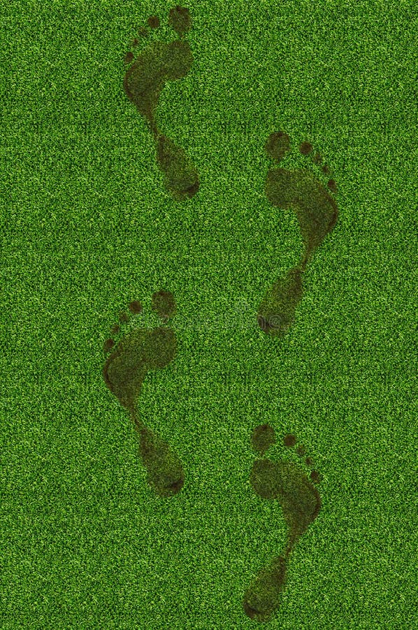 Grass footprints stock photo. Image of soil, font, summer - 39770962