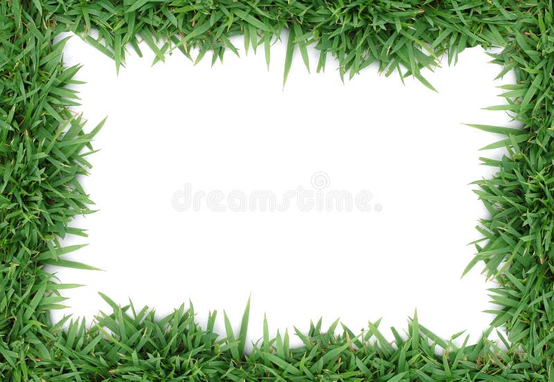 Green grass frame stock image. Image of white, natural - 15097431