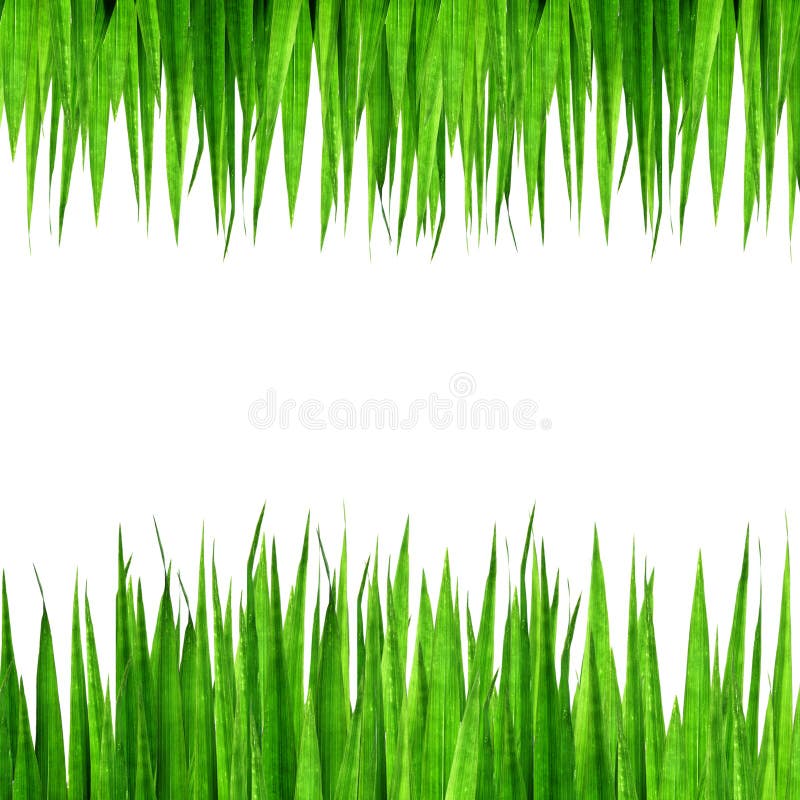 Green grass frame stock image. Image of color, background - 23863789