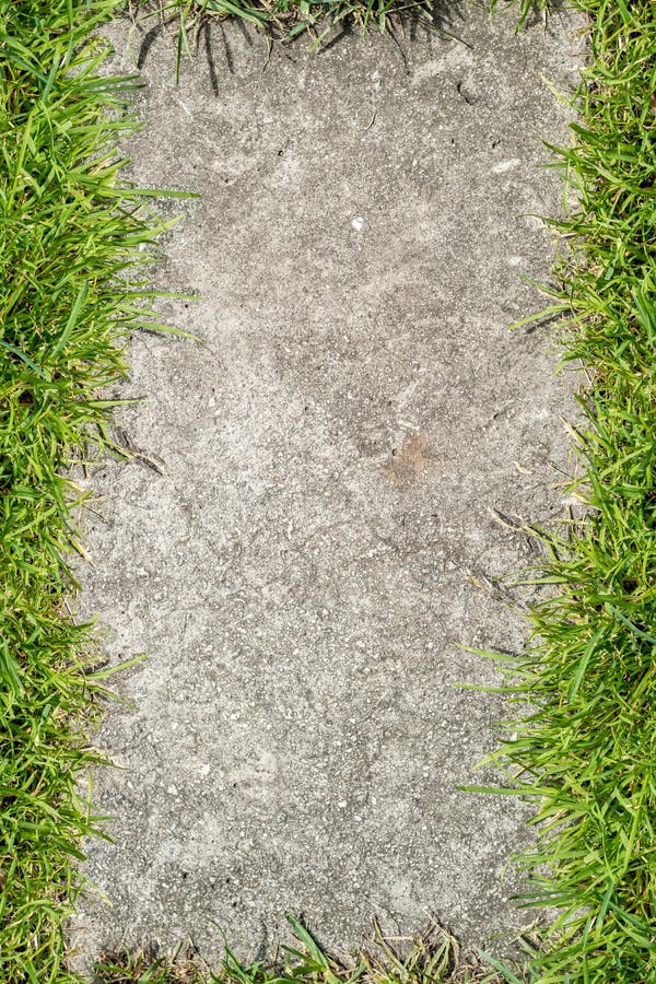 Green Grass Frame on Concrete Background Copy Space Top View Stock ...