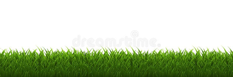 Grass Frame with White Background Stock Vector - Illustration of floral ...