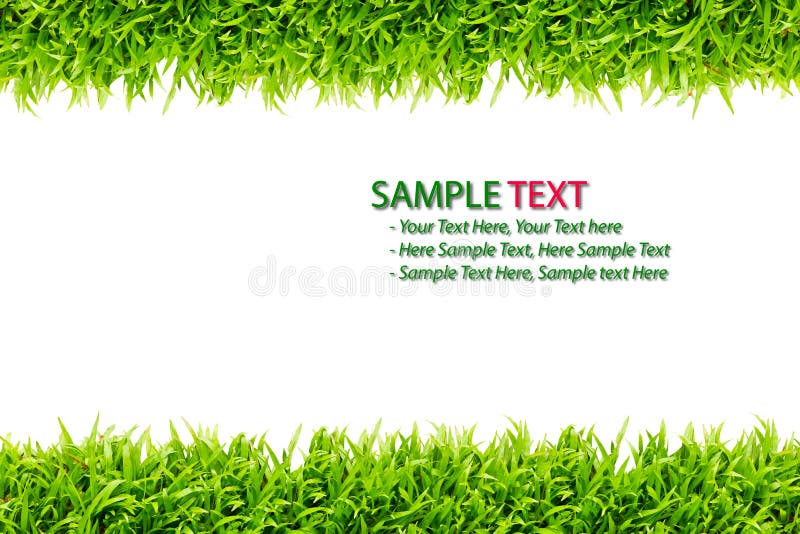 Green Grass frame isolated stock photo. Image of isolated - 17081366