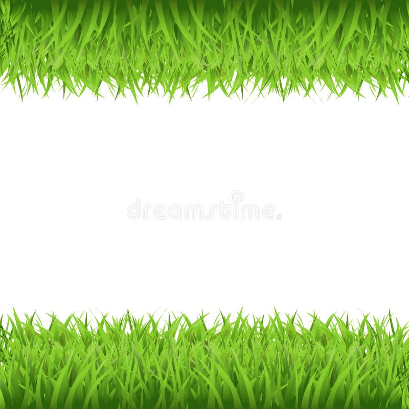 Green Grass Frame stock vector. Illustration of floral - 212989668