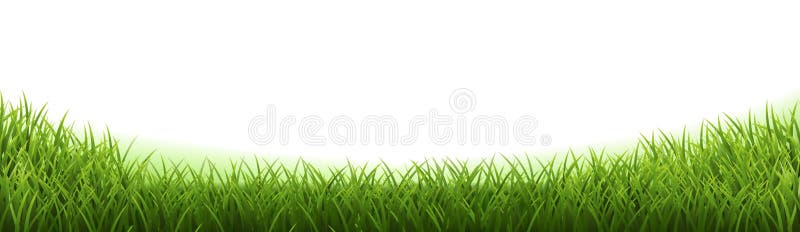 Green Grass Frame Isolated White Background Editorial Photo - Image of ...