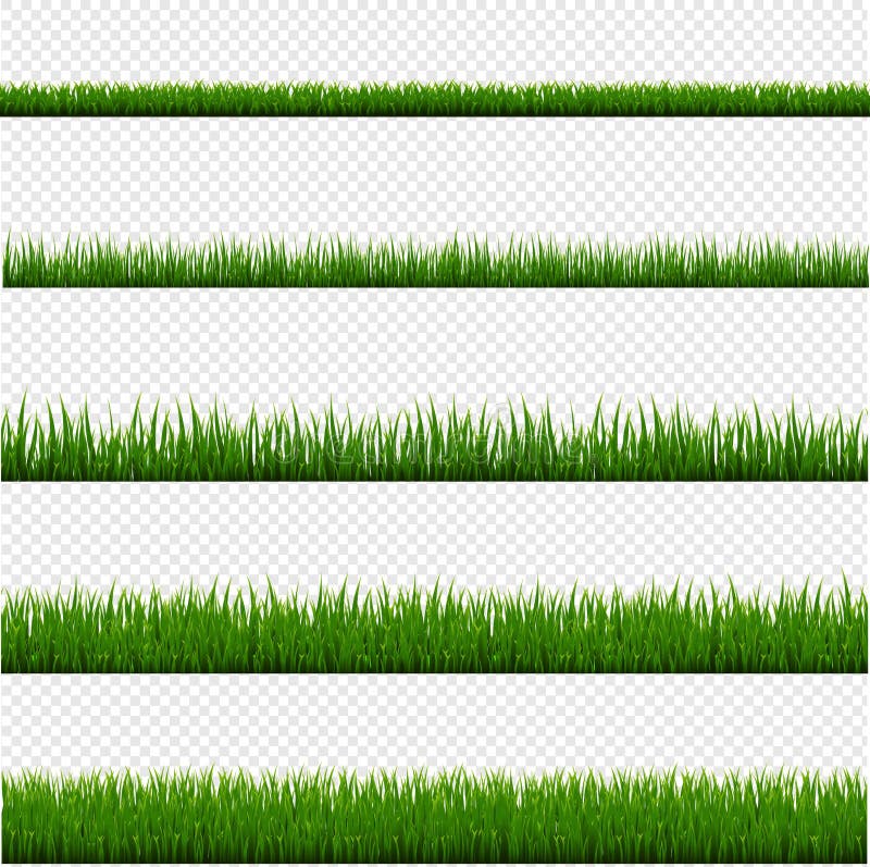 Green Grass Frame Set and Isolated Transparent Background Stock Vector - Illustration of garden ...