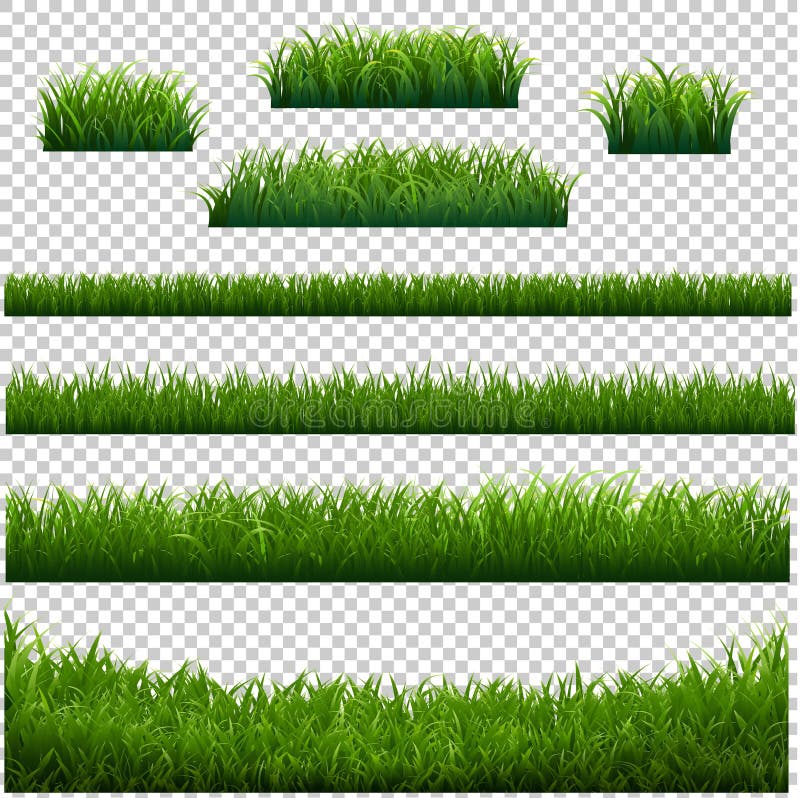 Green Grass Frame with Transparent Background Stock Vector ...