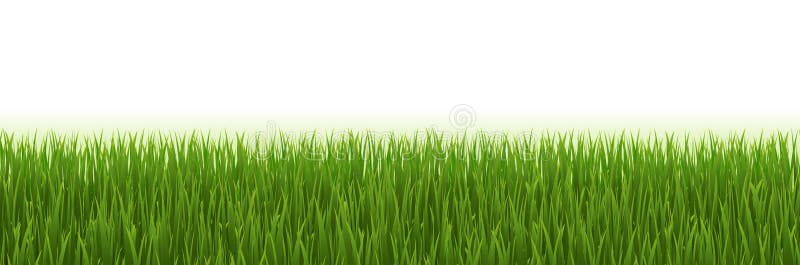Green Grass Frame with White Background Stock Vector - Illustration of ...