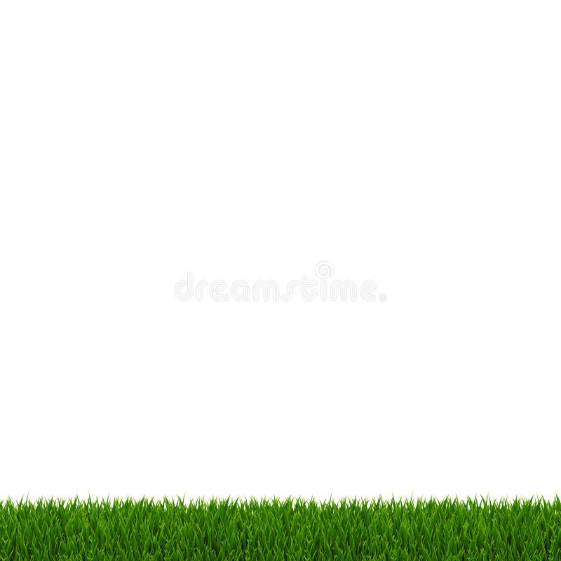 Green Grass Frame White Background Stock Vector - Illustration of ...