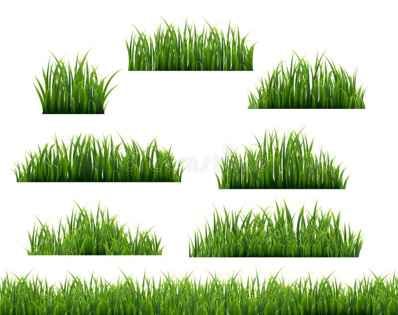 Green Grass Frame White Background Stock Vector - Illustration of ...