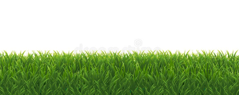 Green Grass Frame with White Background Stock Vector - Illustration of ...