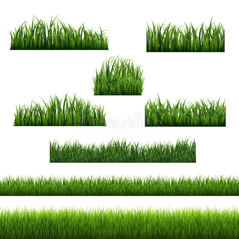 Green Grass Frames White Background Stock Vector - Illustration of ...