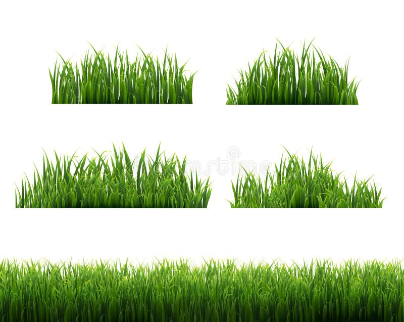 Green Grass Frames White Background Stock Vector - Illustration of ...