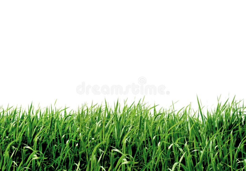 Green Grass Fresh Overlay Herbal Growth Banners and Fresh Overlay ...