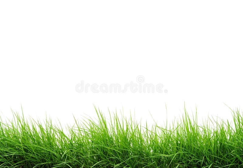 2,533 Green Backgrounds Banners Stock Photos - Free & Royalty-Free ...