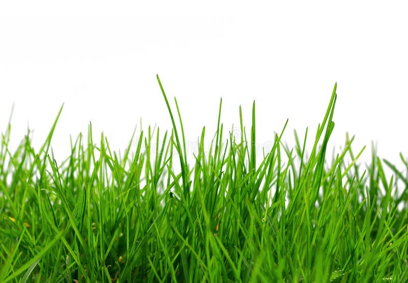1,430 Grass Overlay Stock Photos - Free & Royalty-Free Stock Photos ...