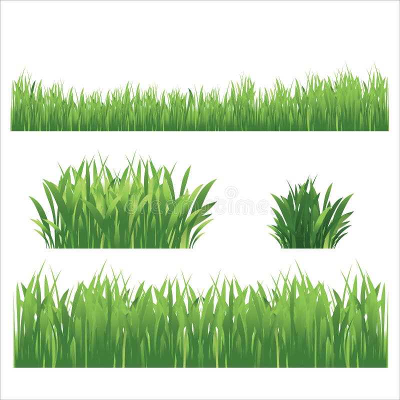 Set of green grass stock vector. Illustration of field - 33261002