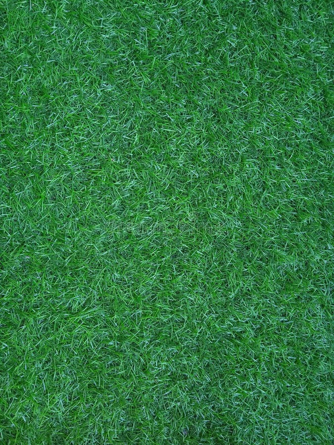 The Green Grass at Front of the House, Shot from High Angle Stock Photo ...