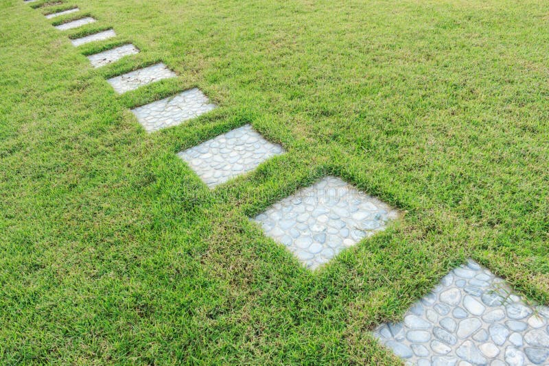 Green Grass in Garden Ground with Path Stock Image - Image of path ...