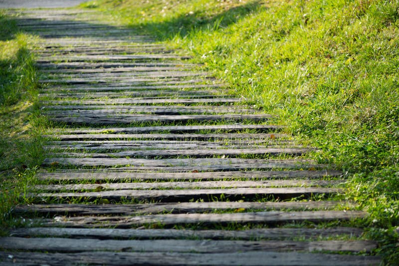 Garden Path stock image. Image of curve, outdoor, garden - 312101247