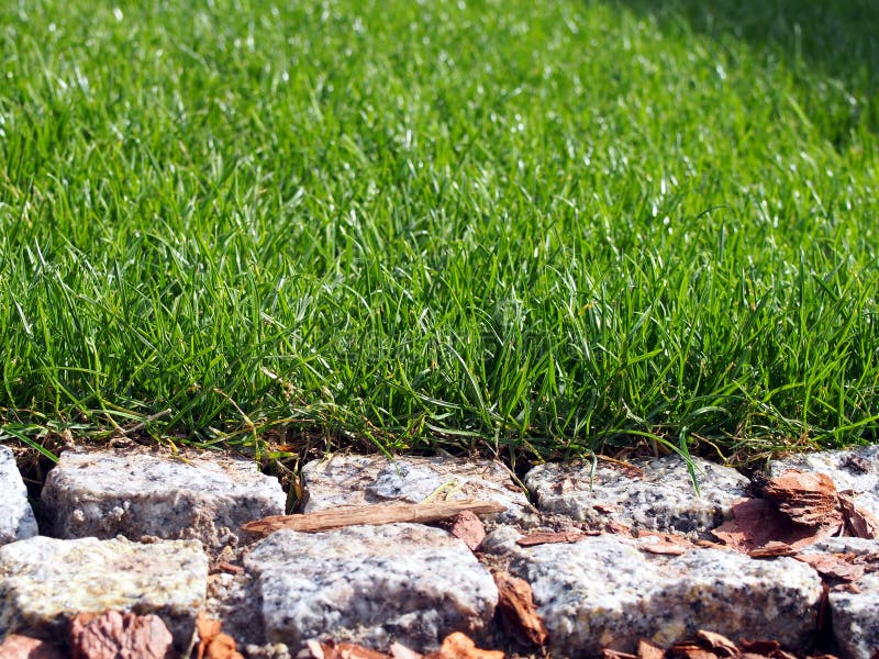 Green Grass and Granite Paving Closeup Stock Photo - Image of beautiful ...