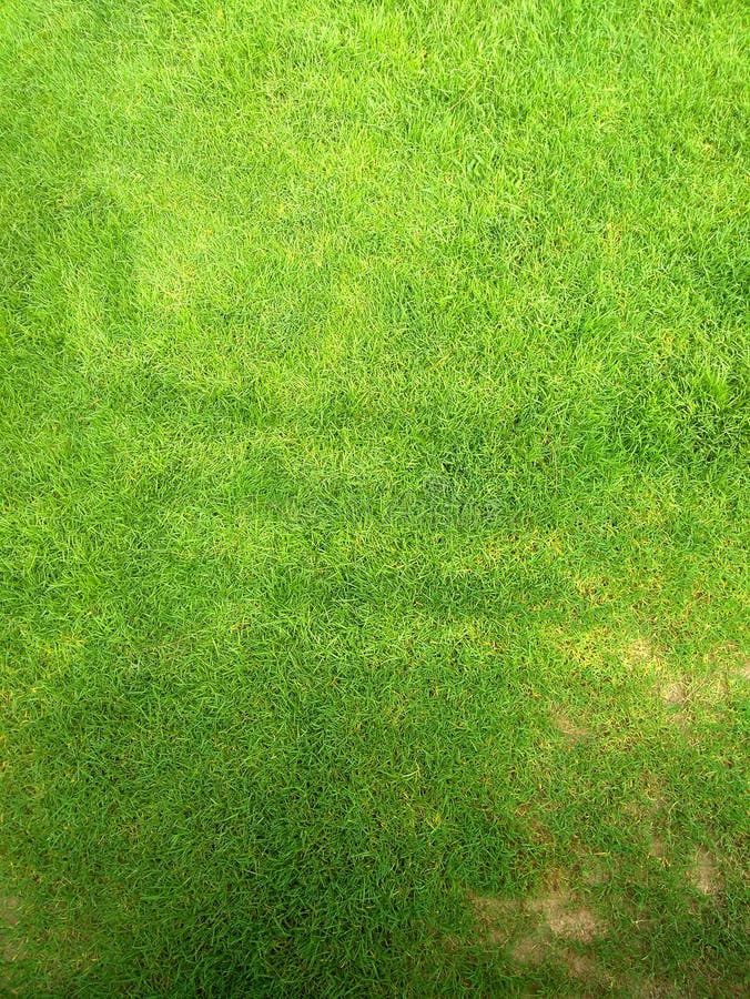 Green Grass Ground Texture stock image. Image of football - 149301835