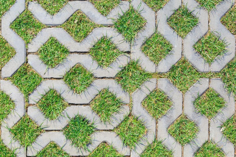 Green Grass Growing between Elements of Paving Tiles As a Background or ...
