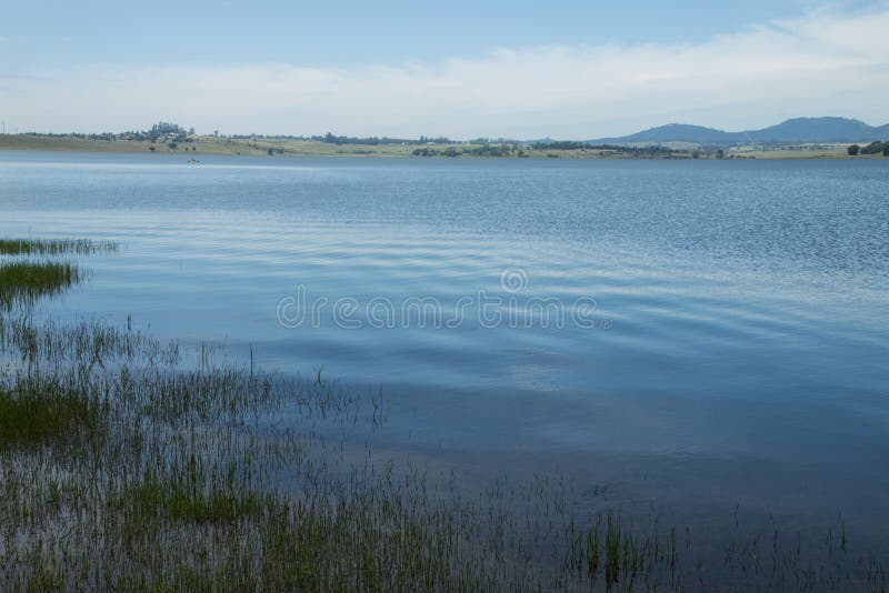 Green Grass Growing in the Shallow Water of Midmar Dam Stock Image ...