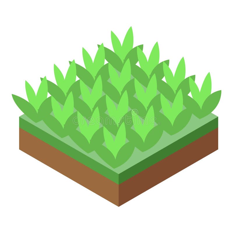 Square Soil Stock Illustrations – 6,135 Square Soil Stock Illustrations ...