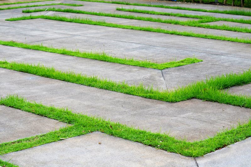 Green Grass Grows through Concrete Pathways in Unique Maze Design Stock ...