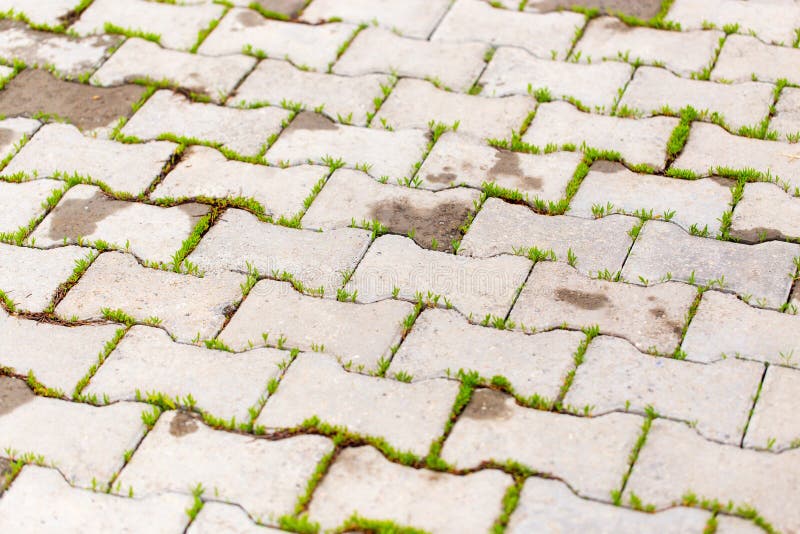 Green Grass Grows on Paving Slabs Stock Photo - Image of road, plant ...