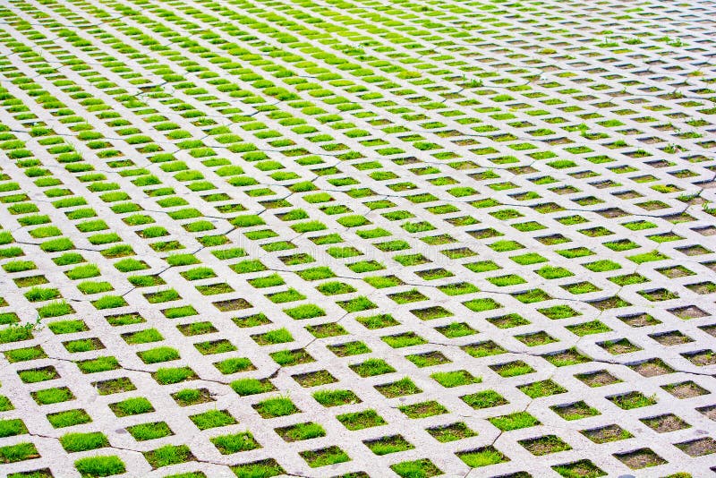 Green Grass Grows through the Tile. Stock Image - Image of architecture ...