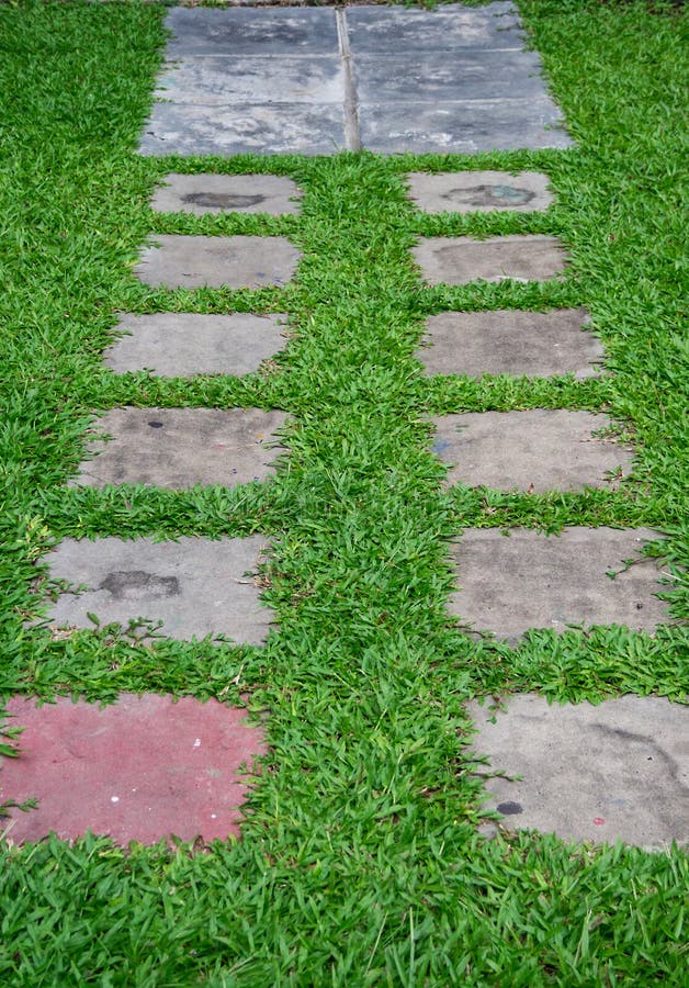 Green Grass Growth between Cement Walkway. Stock Photo - Image of ...