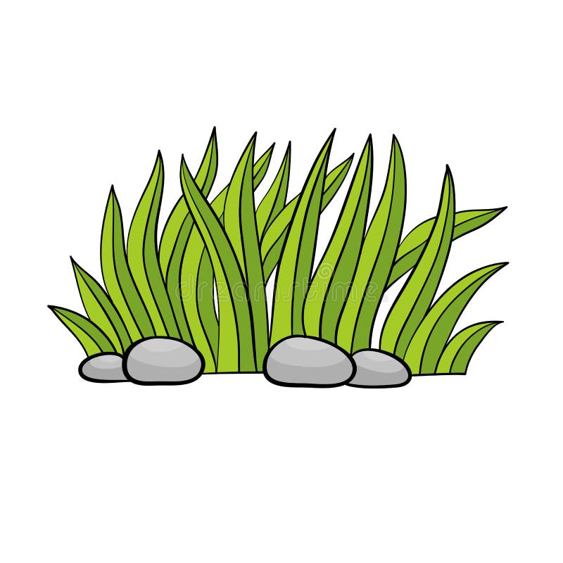 Green Grass Hand Drawn for Design Cartoon Style Stock Vector ...