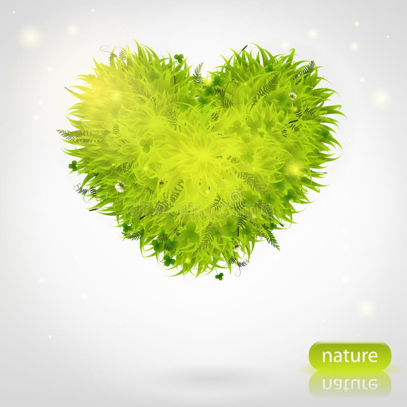 Green grass heart stock vector. Illustration of grass - 23728384